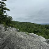 Shaupeneak Ridge Trail, New York - 432 Reviews, Map | AllTrails