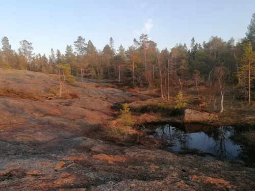Best Hikes and Trails in Bjuröklubb Nature Reserve | AllTrails