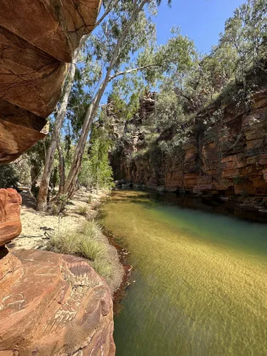 Best Hikes and Trails in Umbrawarra Gorge Nature Park | AllTrails