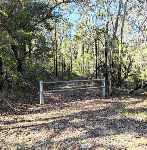 Best Trail Running Trails in Yengo National Park | AllTrails