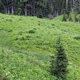 Berkeley Park Trail, Washington - 363 Reviews, Map | AllTrails