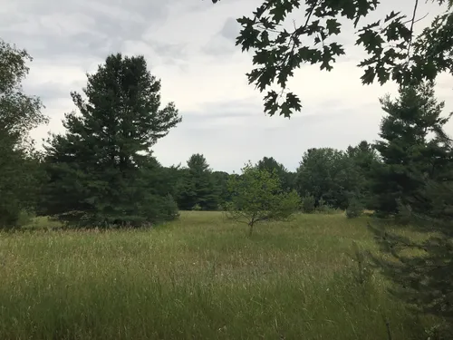 Best Hikes and Trails in Torch River Ridge | AllTrails