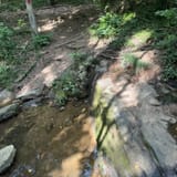 Henderson Park Loop, Georgia - 1,482 Reviews, Map | AllTrails