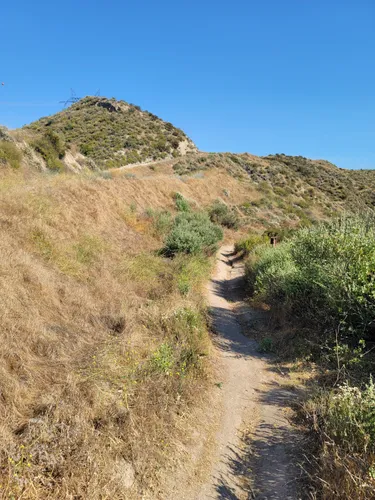 Best Hikes and Trails in Haskell Canyon Open Space | AllTrails