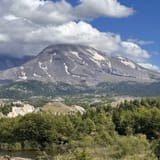 Hummocks Trail, Washington - 911 Reviews, Map | AllTrails