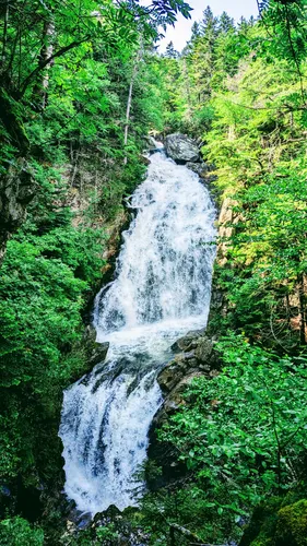 Best Hikes and Trails in Pinkham Notch Scenic Area | AllTrails