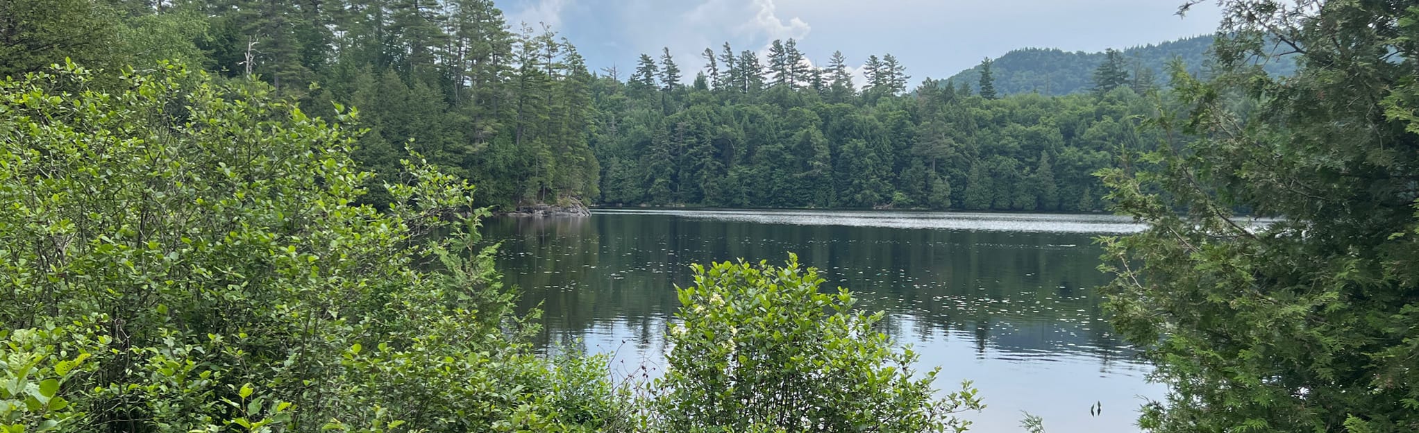 Rich Lake Trail: 49 foto's - New York | AllTrails