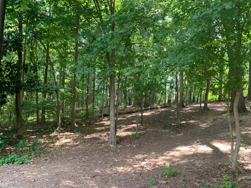Best Hikes and Trails in Nevin Park | AllTrails