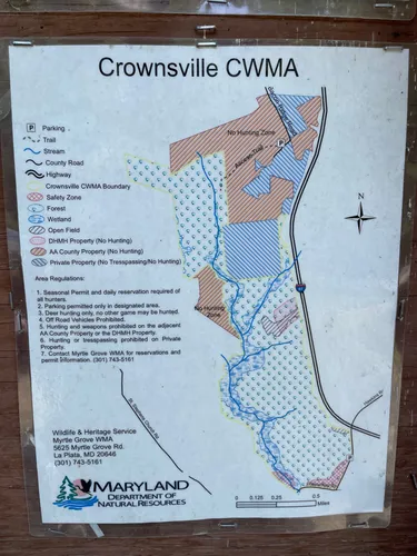 Best Hikes and Trails in Bacon Ridge Natural Area | AllTrails