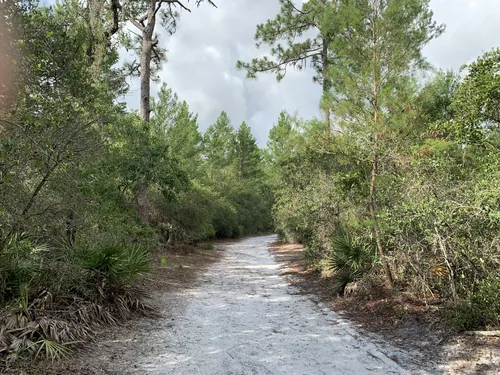 Best Hikes and Trails in Jay B. Starkey Wilderness Park | AllTrails