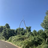 American River Bike Trail (Jedediah Smith Memorial Trail), California ...