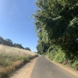 American River Bike Trail (Jedediah Smith Memorial Trail), California ...