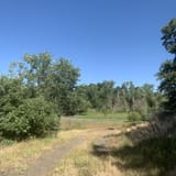 American River Bike Trail (Jedediah Smith Memorial Trail), California ...