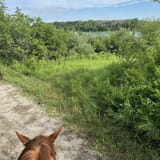 Brushy Creek Lake Trail Loop, Iowa - 69 Reviews, Map | AllTrails