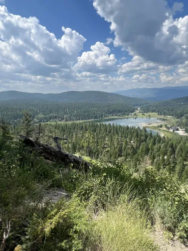 Best Hikes and Trails in Stillwater State Forest | AllTrails