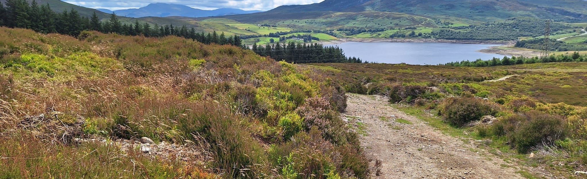 Llyn Celyn and Ffordd y Drum: 6 Photos - Gwynedd, Wales | AllTrails