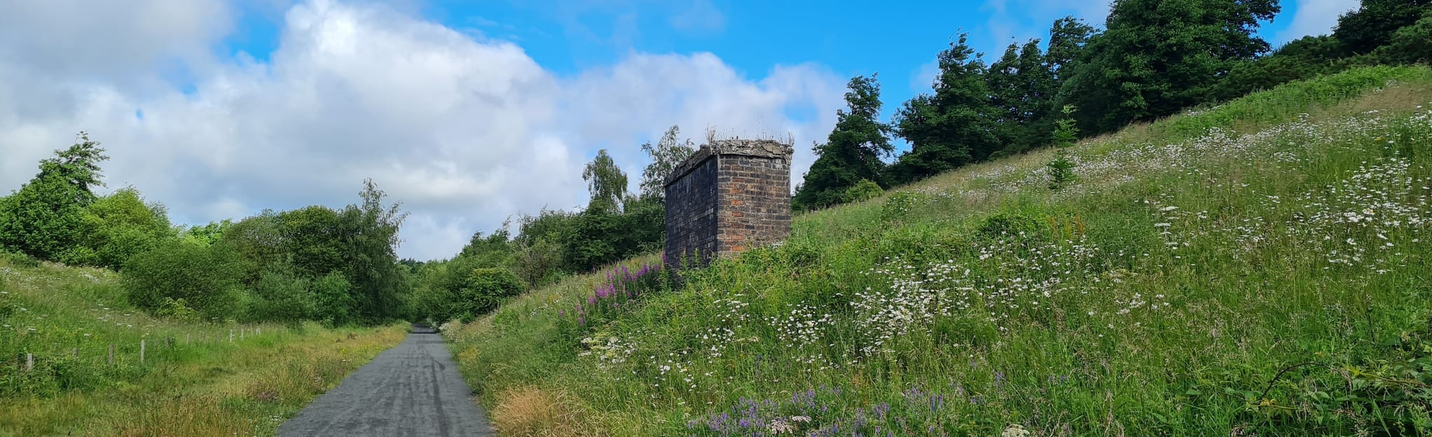 Dechmont Moss Wood - Railway Path-South - Almond Path - Loan Path, West ...