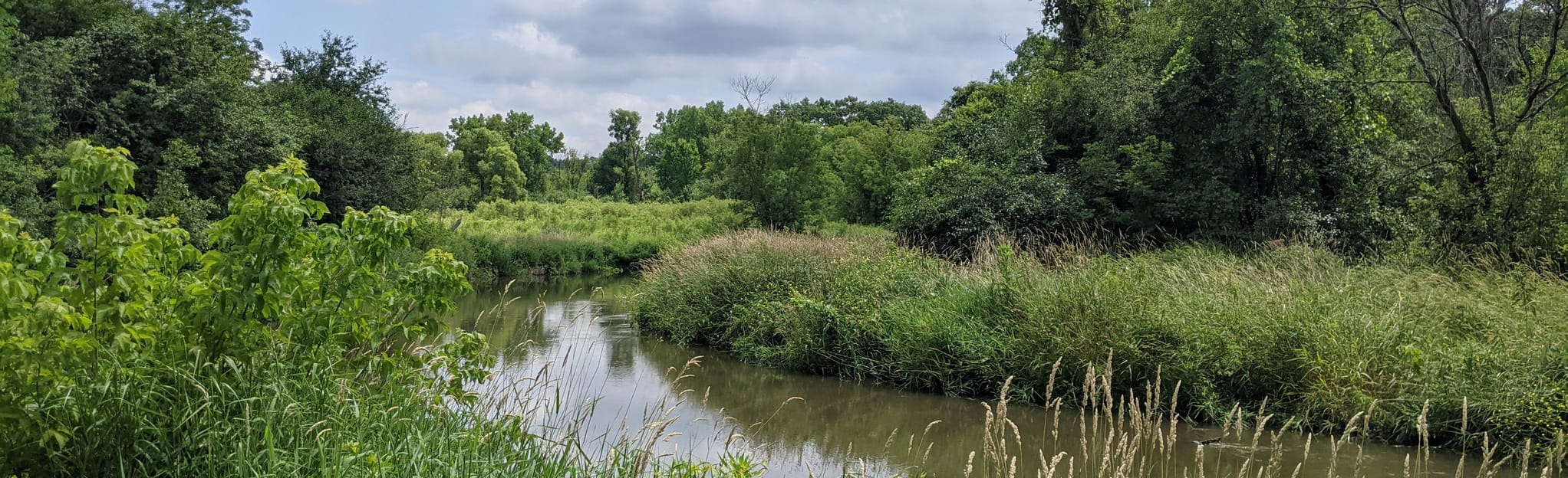 Red Oak and West Branch DuPage River Trail Loop, Illinois - 102 Reviews ...