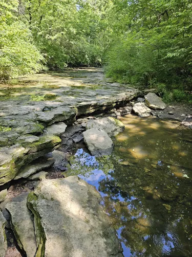 Best Hikes and Trails in Watkins Woolen Mill State Park and State ...