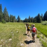 Sagehen Creek Loop, California - 852 Reviews, Map | AllTrails