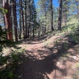 Sagehen Creek Loop, California - 852 Reviews, Map | AllTrails