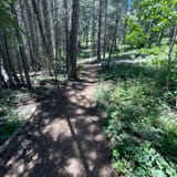 Sagehen Creek Loop, California - 852 Reviews, Map | AllTrails