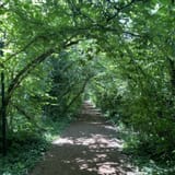 Pre's Trail, Oregon - 740 Reviews, Map | AllTrails