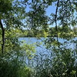 Pre's Trail, Oregon - 740 Reviews, Map | AllTrails