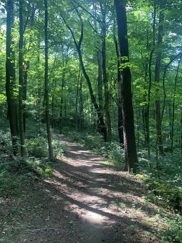 Best 10 Hiking Trails in Moon Park | AllTrails