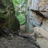 Wildcat Den Trail, Iowa - 939 Reviews, Map | AllTrails