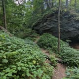 Wildcat Den Trail, Iowa - 939 Reviews, Map | AllTrails