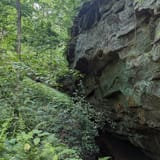 Wildcat Den Trail, Iowa - 939 Reviews, Map | AllTrails