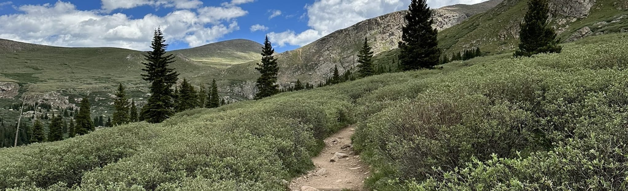 AllTrails | Mount Bierstadt and Mount Evans from Guanella Pass Rd: 90 ...