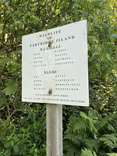 2023 Best Trails, Walks, and Paths in Parrsboro | AllTrails