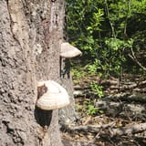 Lake Bryan Trail, Texas - 247 Reviews, Map | AllTrails