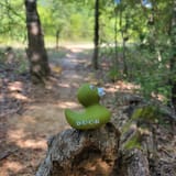 Lake Bryan Trail, Texas - 247 Reviews, Map | AllTrails