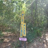Lake Bryan Trail, Texas - 247 Reviews, Map | AllTrails
