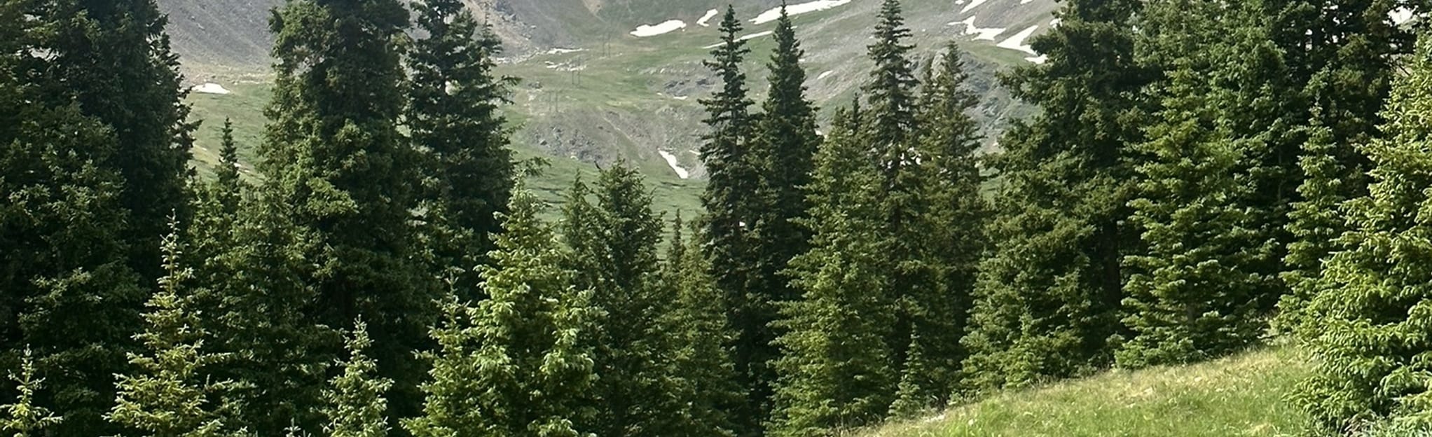 Ganley Mountain Via Guanella Pass Scenic Byway: 161 foto's - Colorado ...