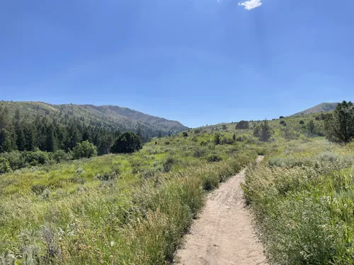 10 Best Trails and Hikes in Pocatello | AllTrails