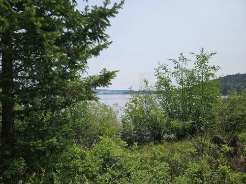 Best Hikes and Trails in Mile 108 Recreational Ranch | AllTrails