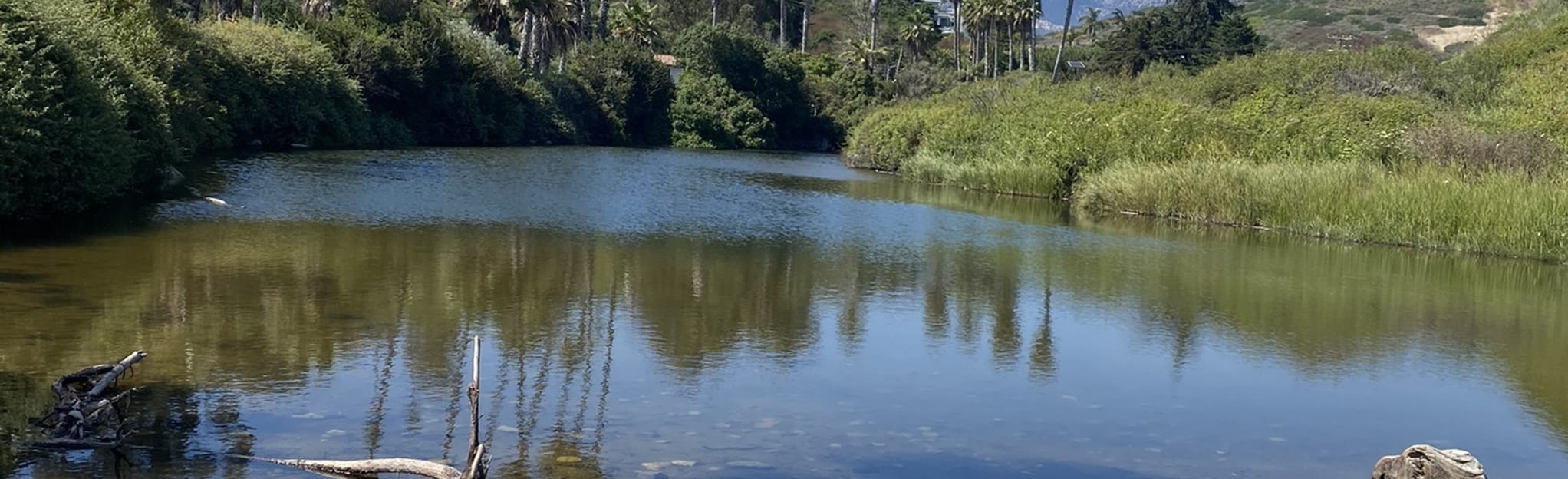 AllTrails | Arroyo Burro Beach Walk: 103 Reviews, Map - California