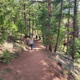 Gill Trail, Colorado - 302 Reviews, Map | AllTrails