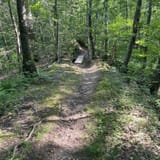Case Mountain Trail, Connecticut - 1,013 Reviews, Map | AllTrails