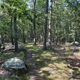 Case Mountain Trail, Connecticut - 1,013 Reviews, Map | AllTrails