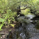 Case Mountain Trail, Connecticut - 1,013 Reviews, Map | AllTrails