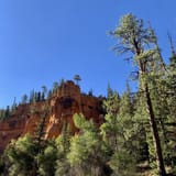 Losee Canyon Trail, Utah - 245 Reviews, Map | AllTrails