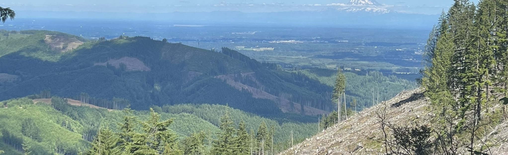 Capitol Peak Loop: Twin Peaks and the Grunt Trail Loop: 68 Reviews, Map ...