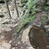 Waihou Spring Trail, Maui, Hawaii - 775 Reviews, Map | AllTrails