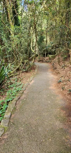 Best Hikes and Trails in Numinbah Nature Reserve | AllTrails