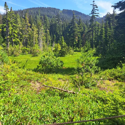 2023 Best Walking Trails in Cypress Provincial Park | AllTrails